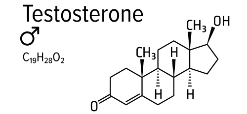 TESTOSTERONE 101 – Young Again MD